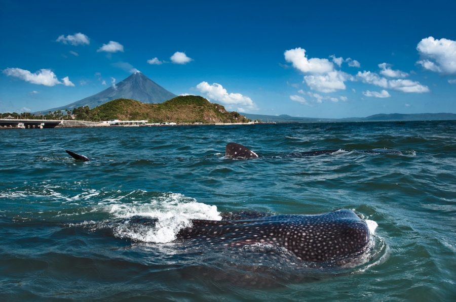 George Tapan: Beyond Travel Photography